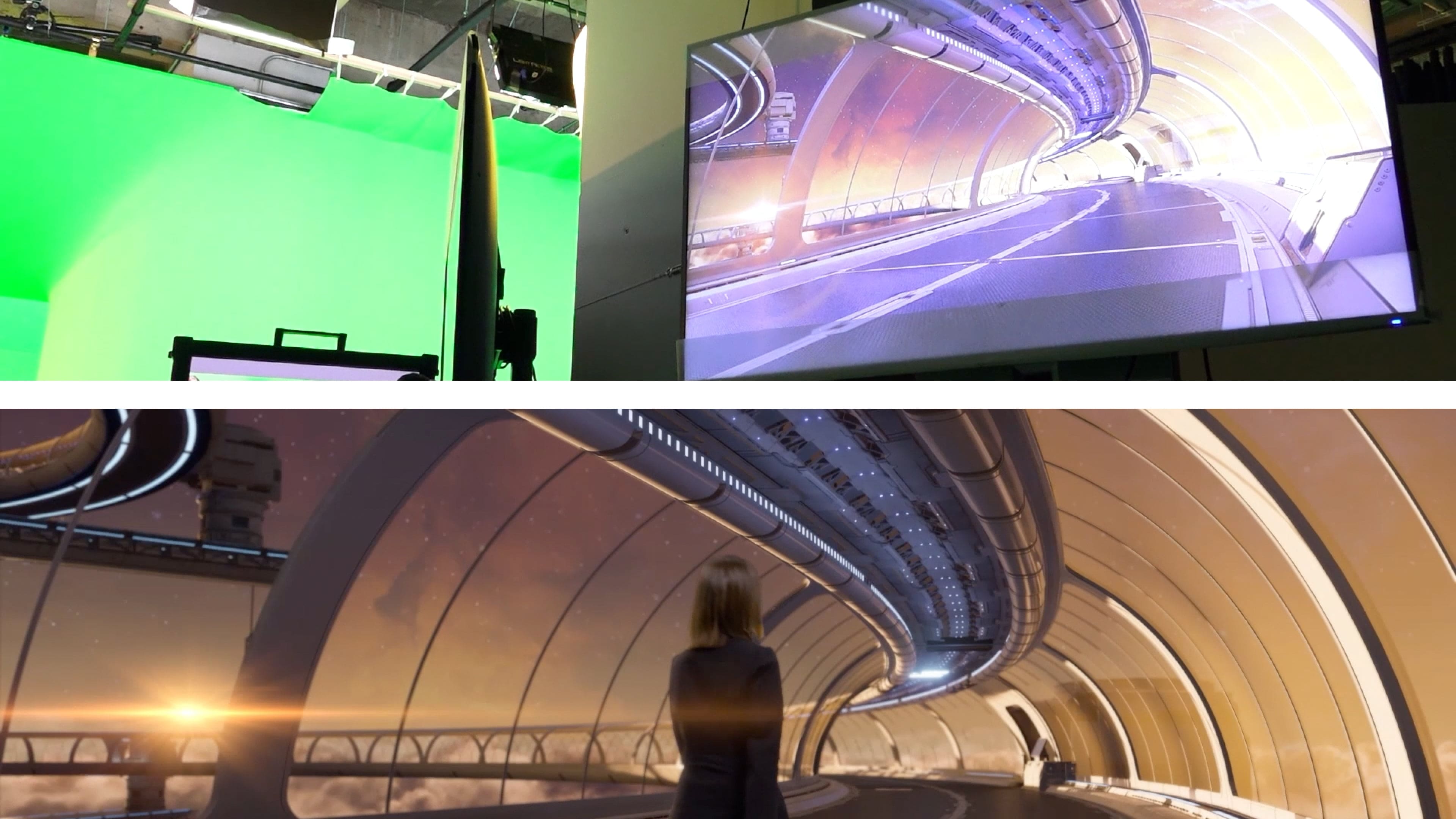 aex SHIBA PICTURES | ABOUT aex | aex inc.